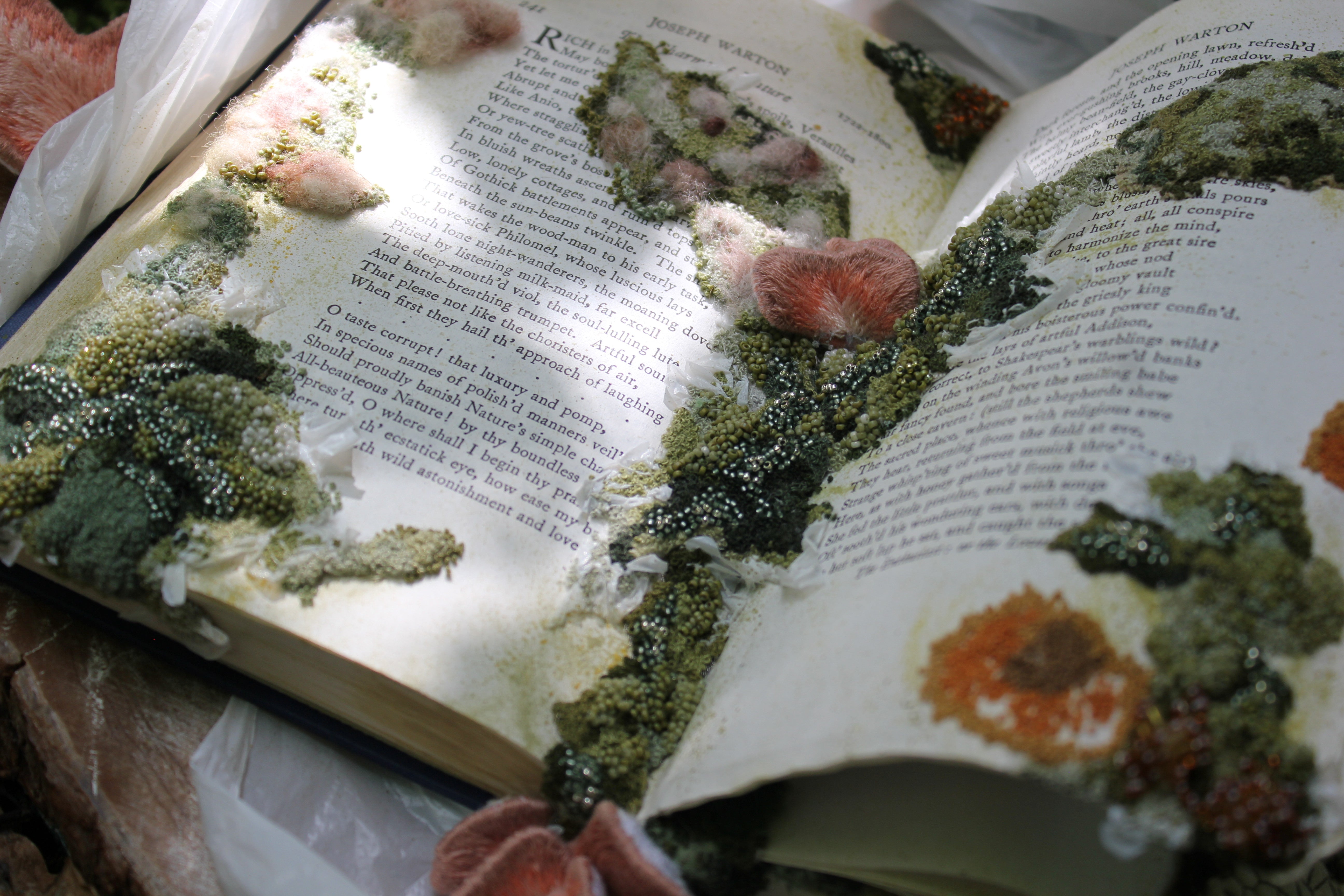 Commissions – Lemon Pepper Studio