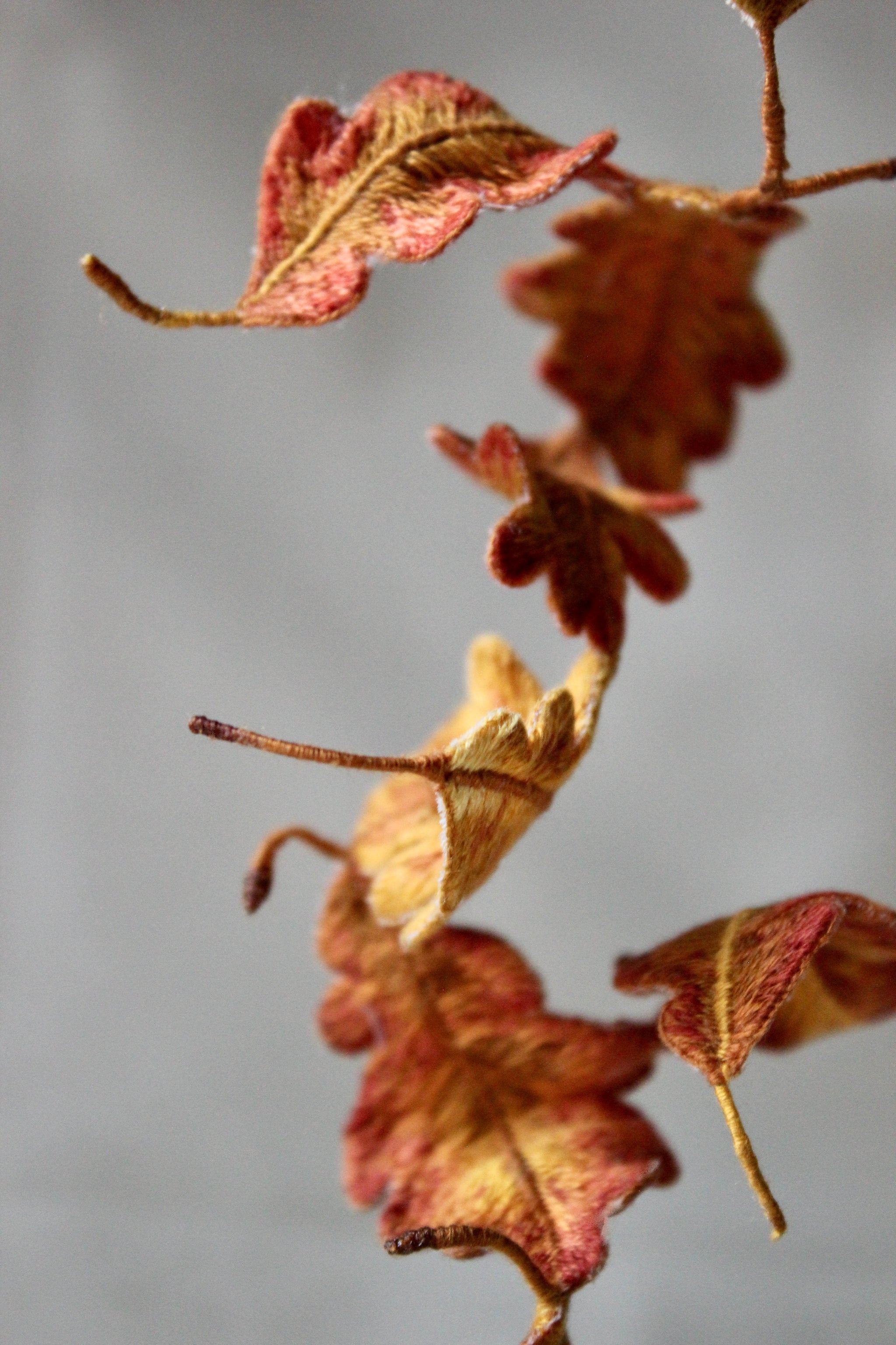 Autumns Dance - 2022 – Lemon Pepper Studio