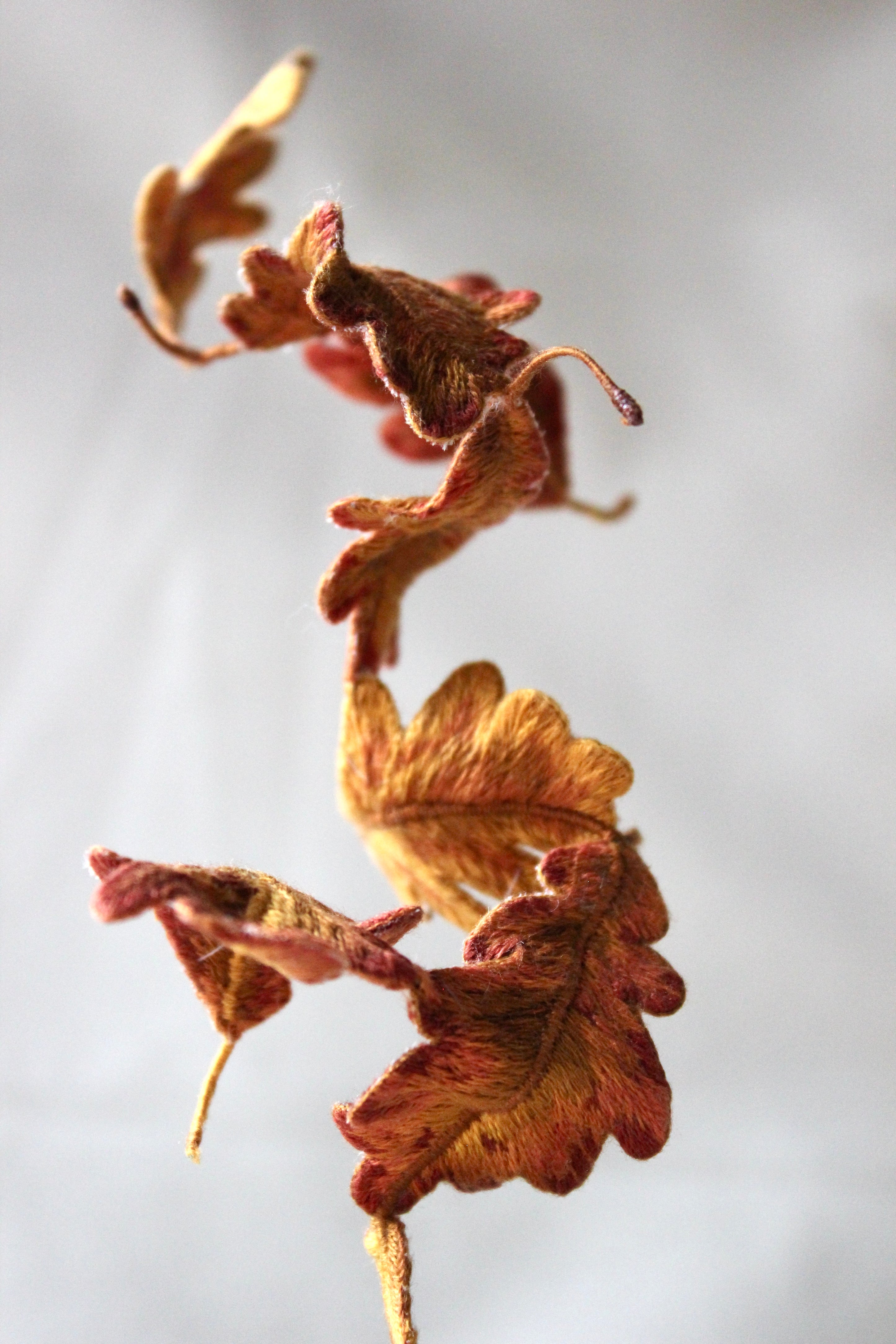 Autumns Dance - 2022 – Lemon Pepper Studio