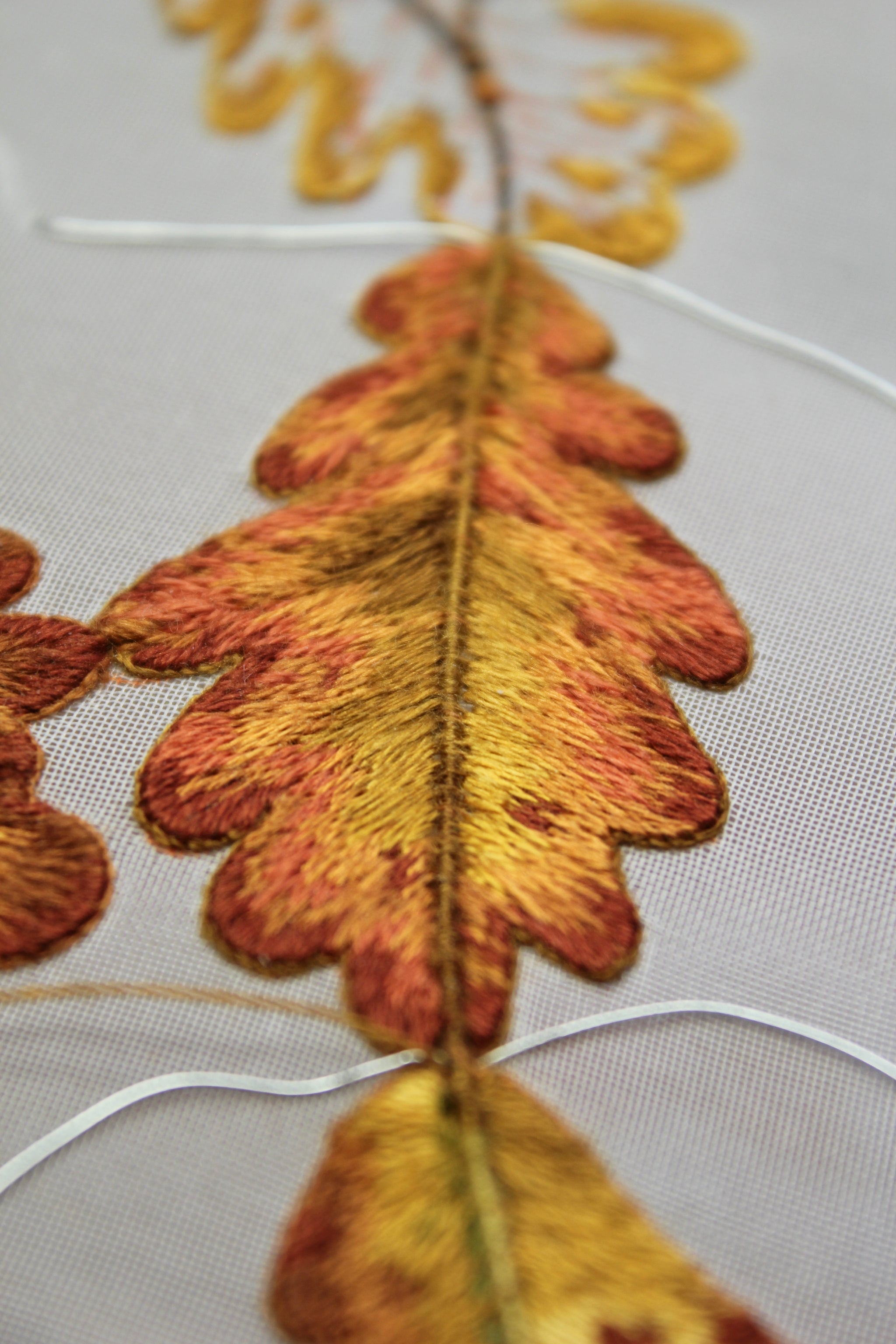 Autumns Dance - 2022 – Lemon Pepper Studio