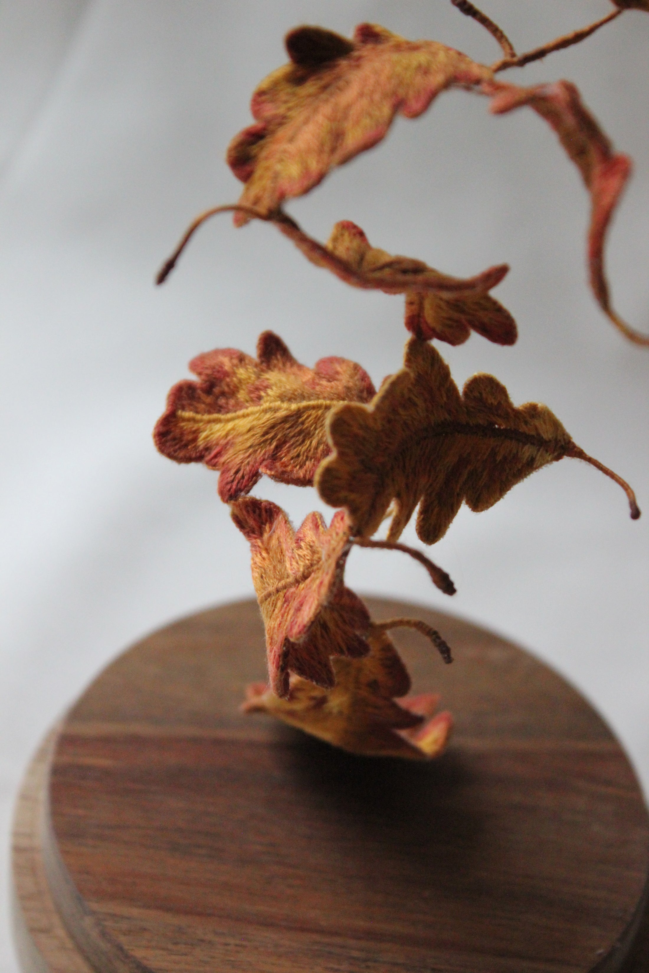 Autumns Dance - 2022 – Lemon Pepper Studio