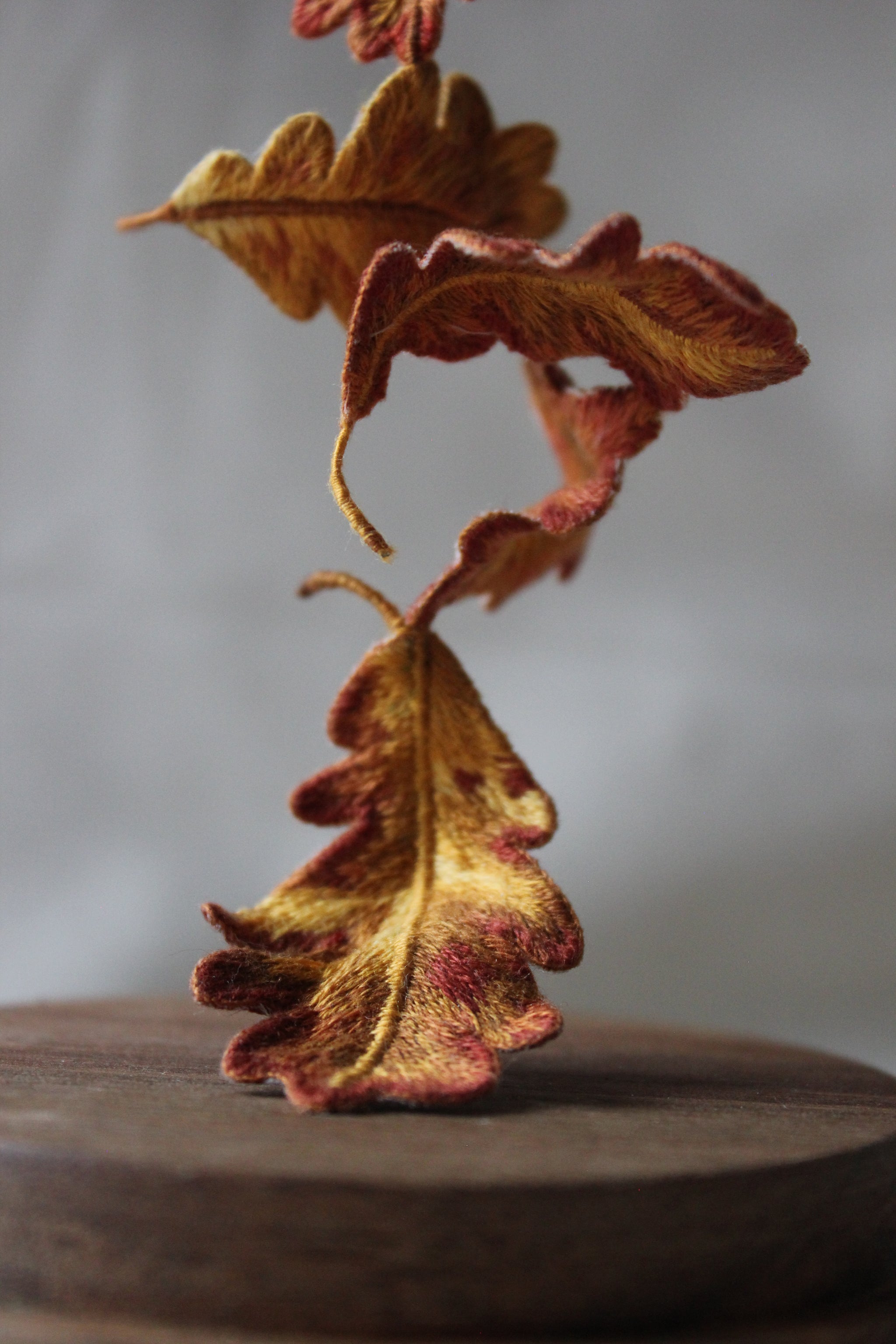 Autumns Dance - 2022 – Lemon Pepper Studio